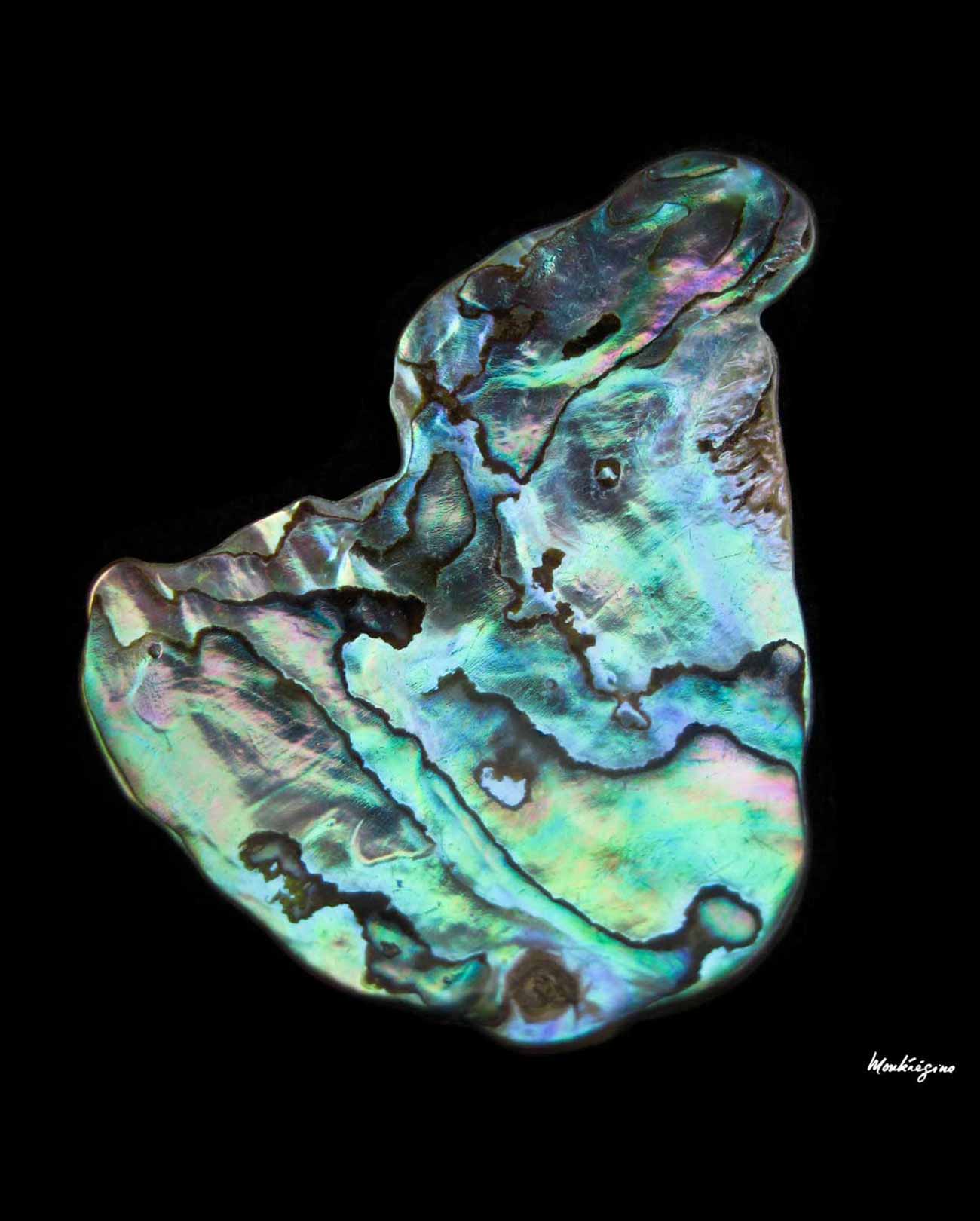 Ecotrust - Indigenous Traditional Knowledge Database