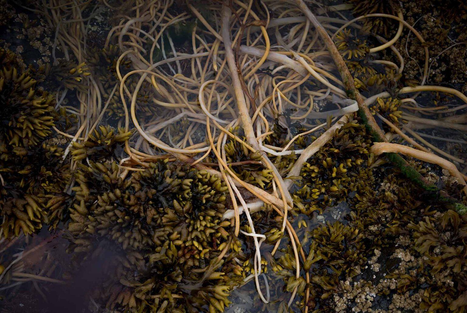 Ecotrust - Ecotrust 2024 Annual Report