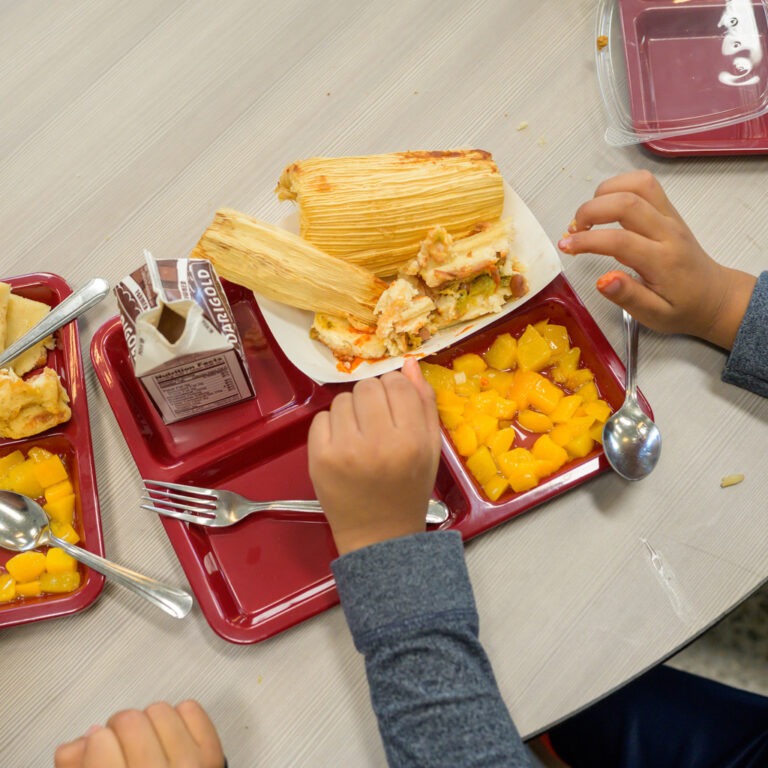 Ecotrust - Farm to School & Early Childhood Institutes