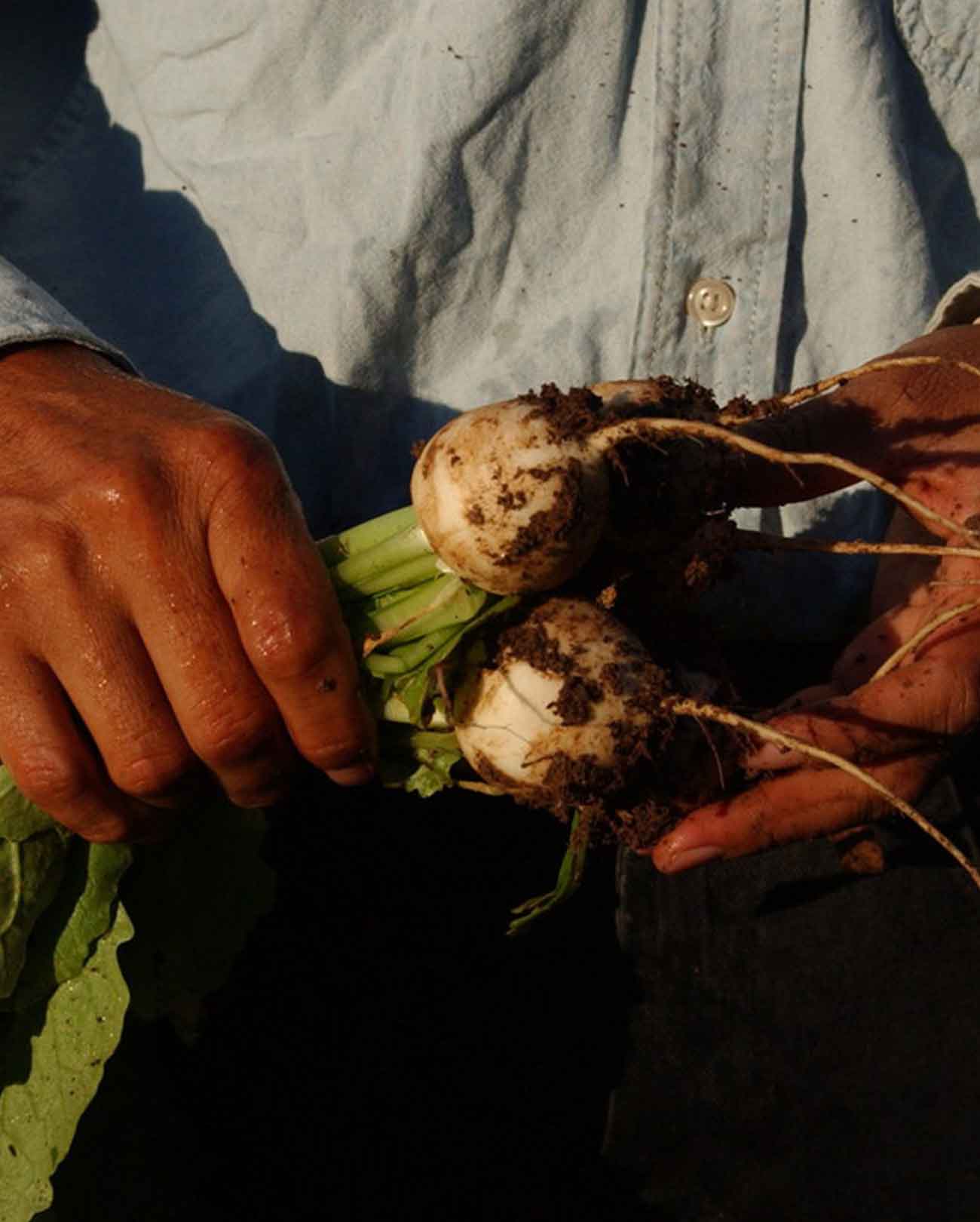 Ecotrust - An organic reformation?
